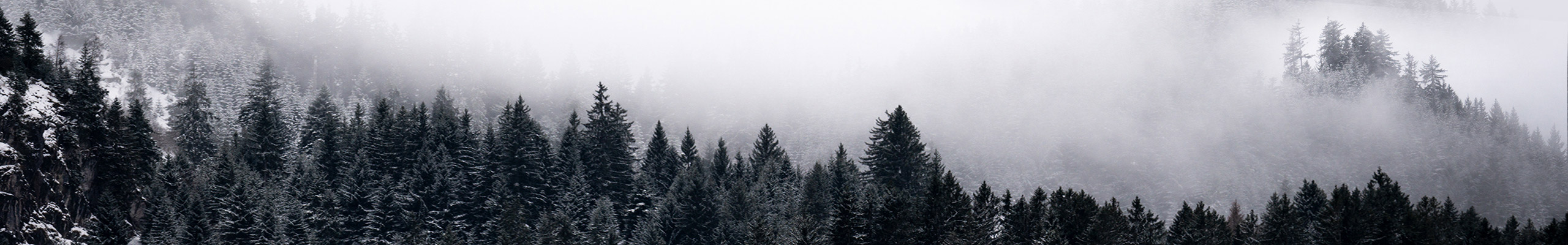 The Physics of Lens Fogging and How to Avoid It | FortNine Canada