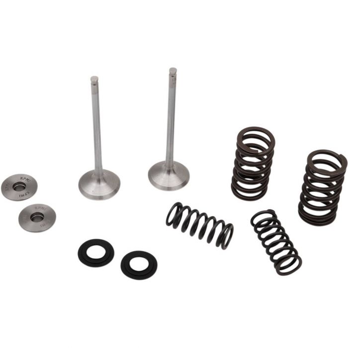 Moose Exhaust Valve and Spring Kit - 0926-3199 | FortNine Canada