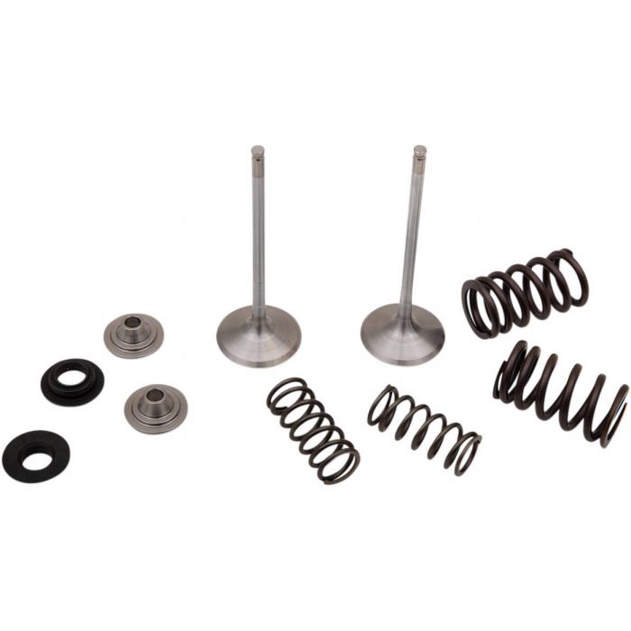 Moose Intake Valve and Spring Kit - 0926-3198 | FortNine Canada