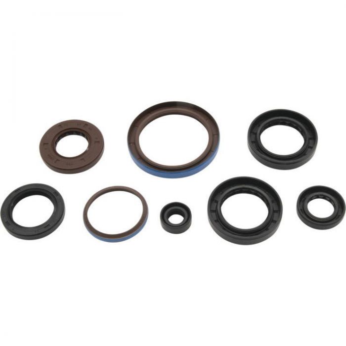 QuadBoss Oil Seal Set - 564596 | FortNine Canada