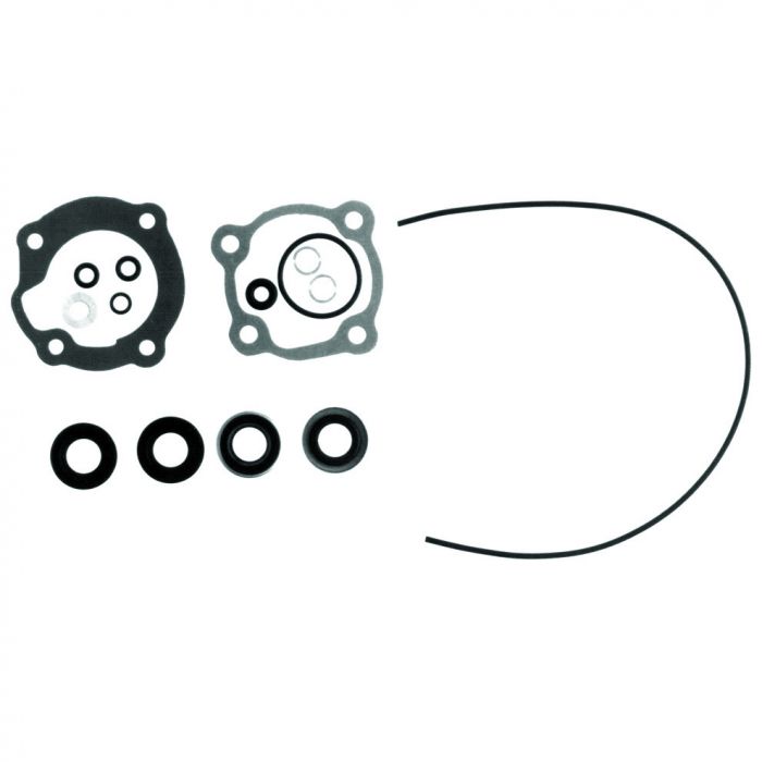 Sierra Lower Unit Seal Kit for Johnson/Evinrude Outboard Motors - 18 ...