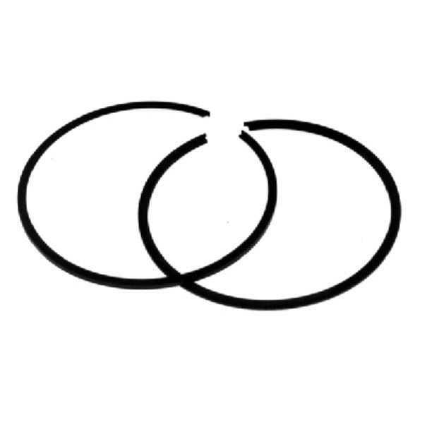 Sierra Piston Rings for Johnson/Evinrude Outboard Motors - 18-3904 ...