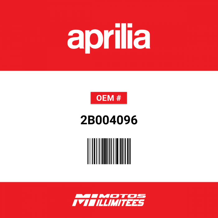 Aprilia Rear ABS Brake Hose Hecu-Pump - 2B004096 | FortNine Canada