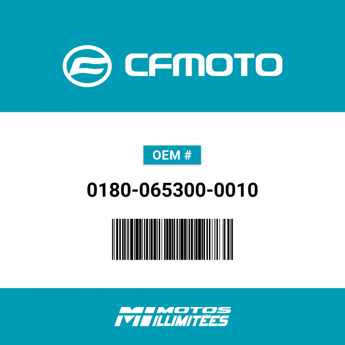 CFMoto Rocker Arm - Gearshift - 0180-065300-0010 | FortNine Canada