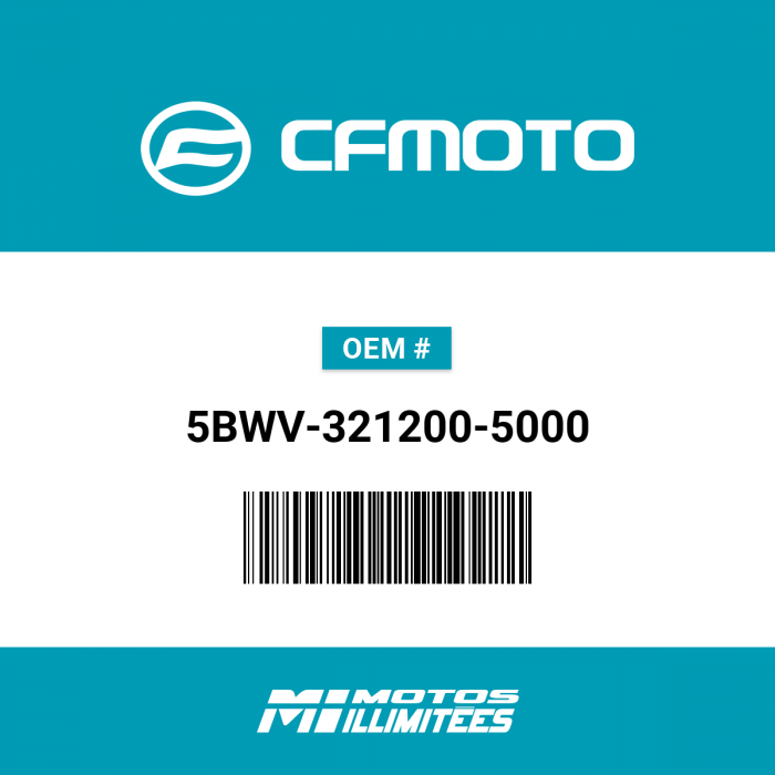 CFMoto Swing Arm - Gearshift - 5BWV-321200-5000 | FortNine Canada