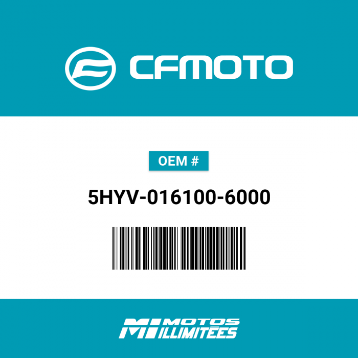 CFMoto Peps Controller - 5HYV-016100-6000 | FortNine Canada