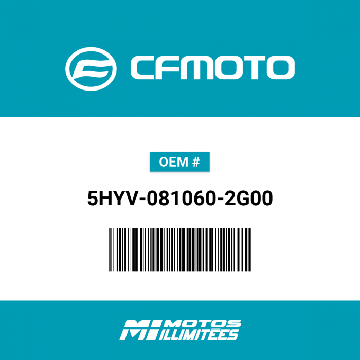 CFMoto Rear Right Hand Brake Caliper Assembly - 5HYV-081060-2G00 ...