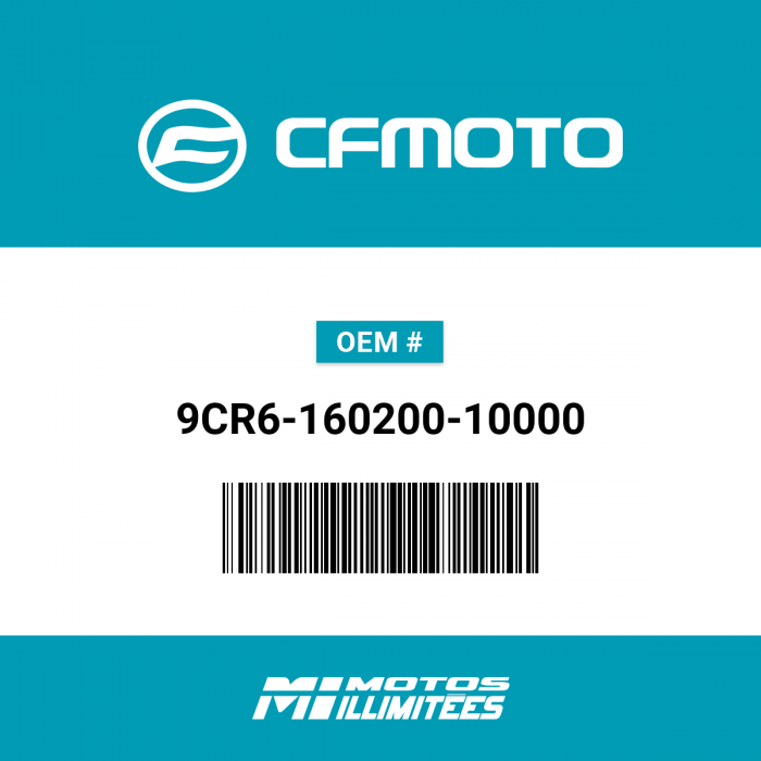 CFMoto Low-Beam Light Assembly - 9CR6-160200-10000 | FortNine Canada