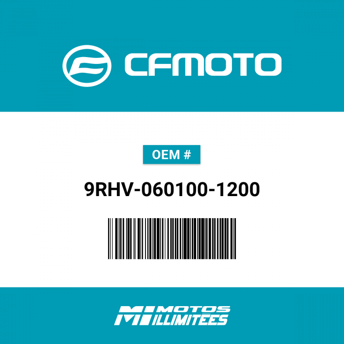 CFMoto Rear Swing Arm Assembly - 9RHV-060100-1200 | FortNine Canada