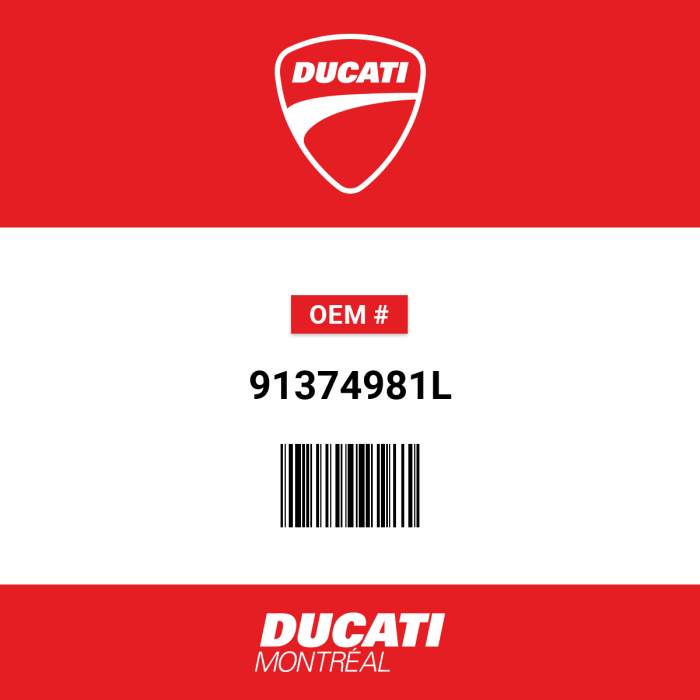 Ducati Owner's Manual - 91374981L | FortNine Canada