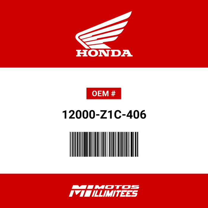Honda Cylinder Assembly - 12000-Z1C-406 | FortNine Canada