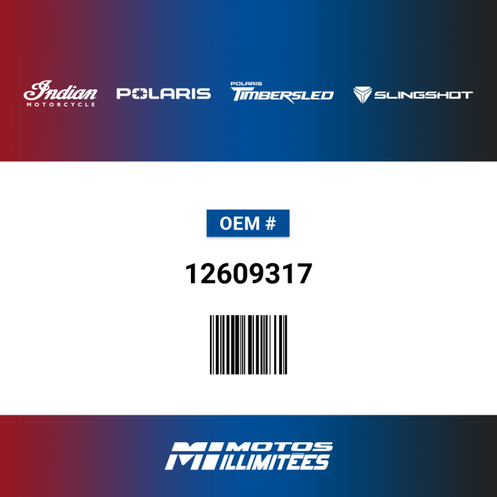 Polaris / Indian Starter Assembly - 12609317 | FortNine Canada