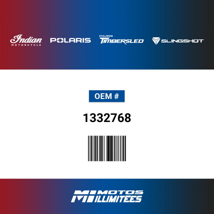 Polaris / Indian Assembly Gearcase Complete - 1332768 | FortNine Canada