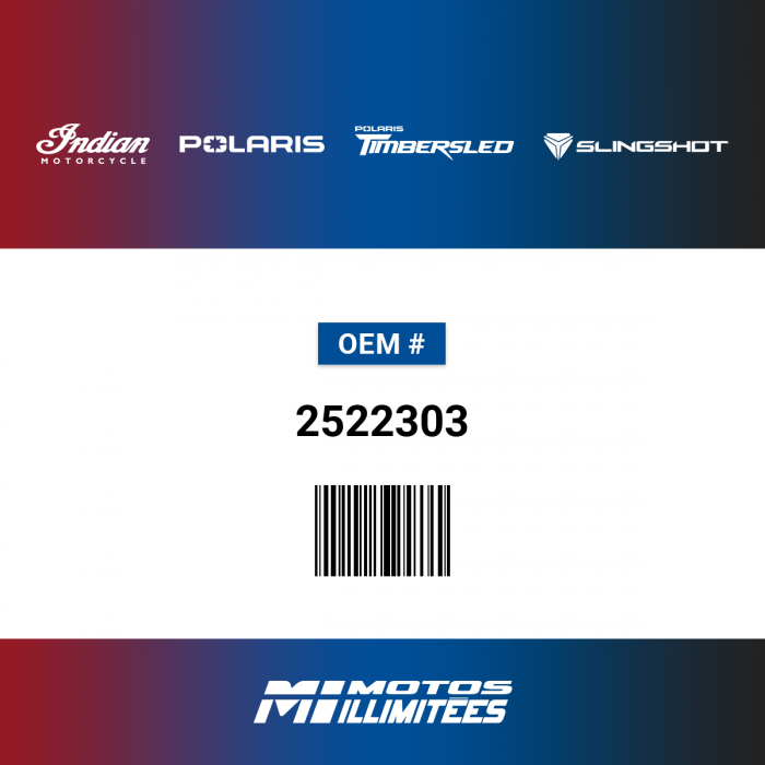 Polaris / Indian Canister-Carbon Evap - 2522303 | FortNine