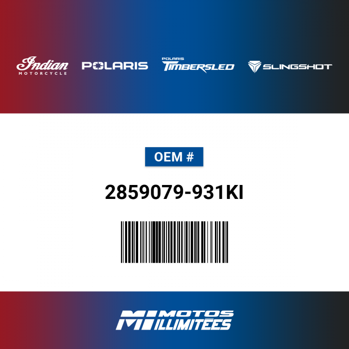 Polaris / Indian Paint Kit-Indian Storm Grey Axure QT - 2859079-931KI ...