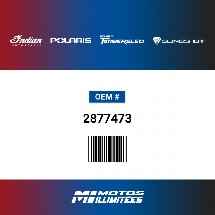 Polaris / Indian Oil Change ATV SGL Cylinder XP(4) - 2877473 | FortNine ...