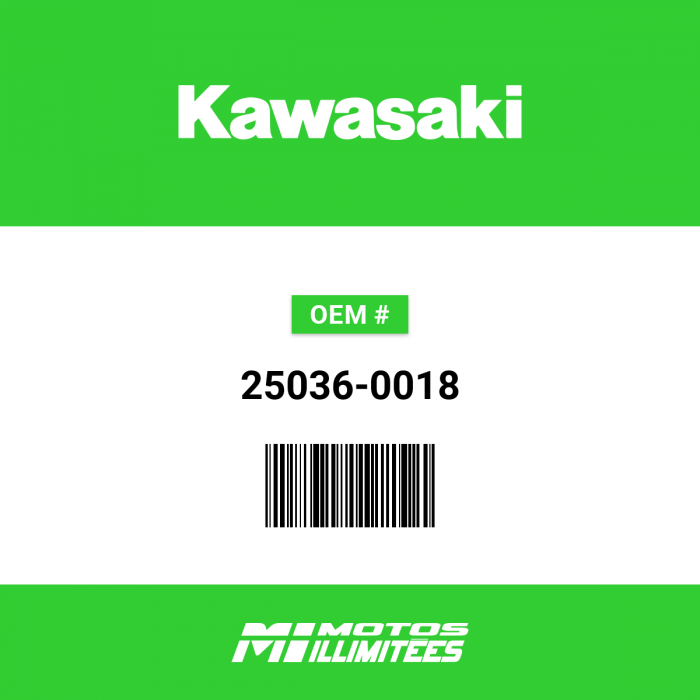 Kawasaki Meter Assembly TFT Display - 25036-0018 | FortNine Canada