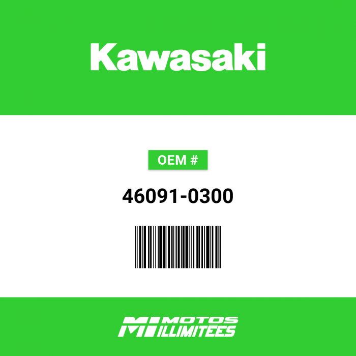 Kawasaki Housing-Assy-Control LH - 46091-0300 | FortNine Canada