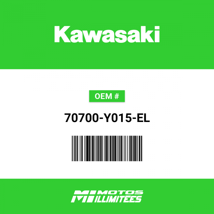 Kawasaki Engine Assembly 700 US - 70700-Y015-EL | FortNine Canada