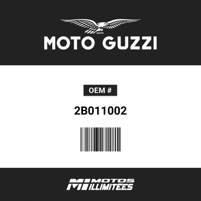 Moto Guzzi Assembly Fuel Tank (U.S.A. Version) - 2B011002 | FortNine Canada