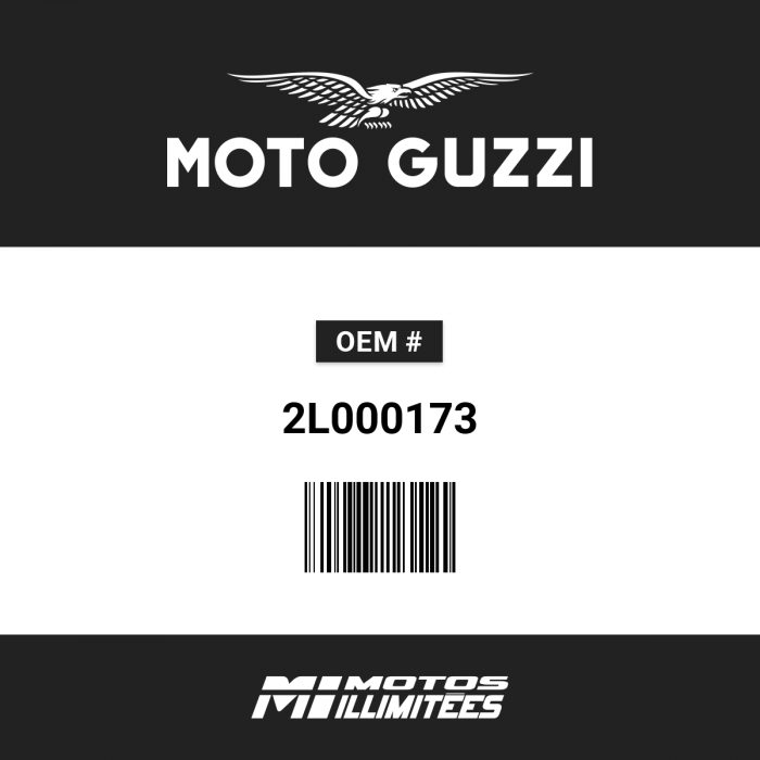 Moto Guzzi Carbon Canister Scheme Sticker - 2L000173 | FortNine Canada