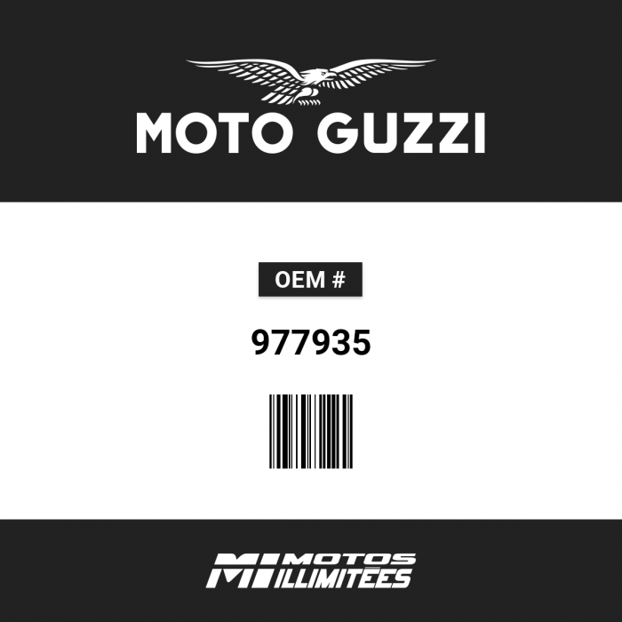 Moto Guzzi Right Hand Legs-Guard Tube with IP - 977935 | FortNine Canada