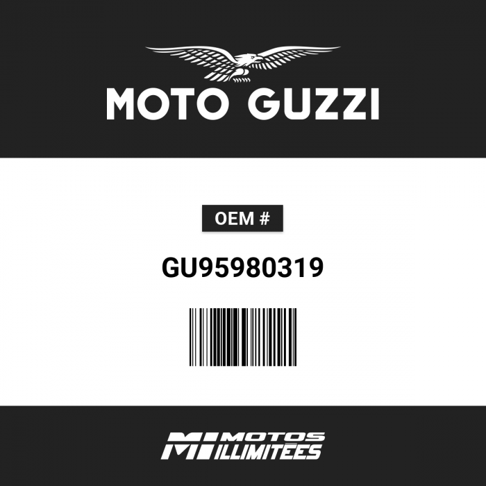 Moto Guzzi Oil Plug M18X1.5 - GU95980319 | FortNine Canada