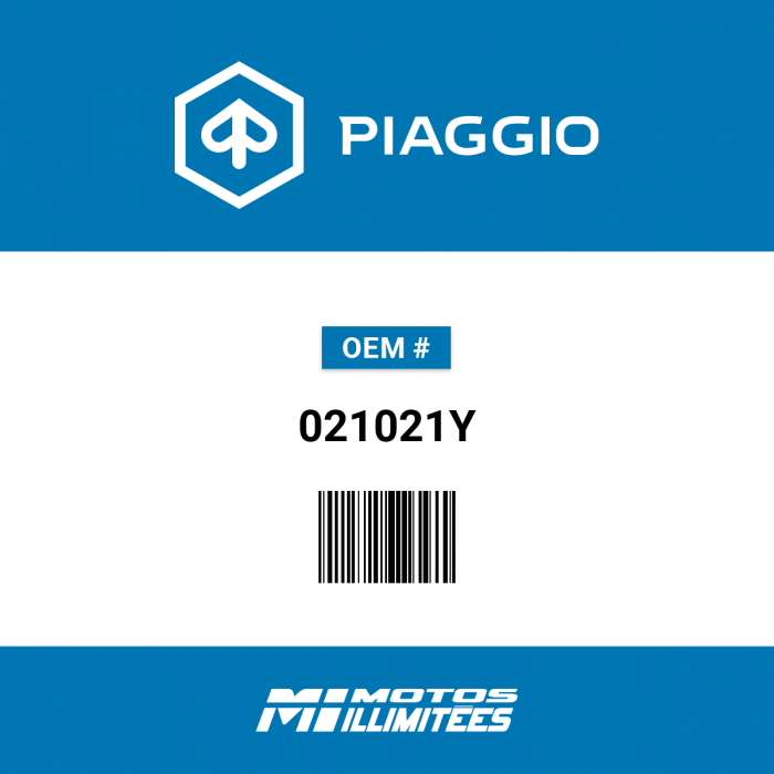 Piaggio 300 Hpe Engine Driving Pulley Disassembl - 021021Y | FortNine ...