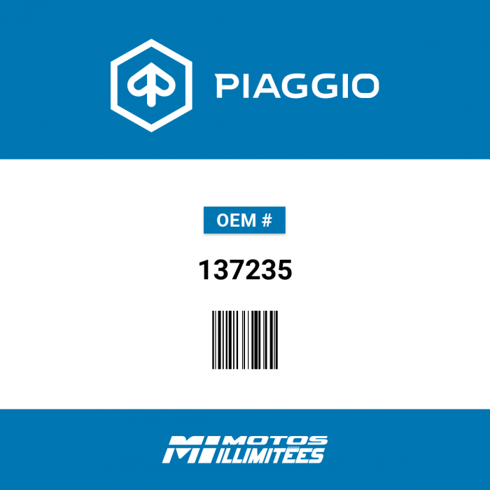 Piaggio Steering Pin APE 501-400 - 137235 | FortNine Canada