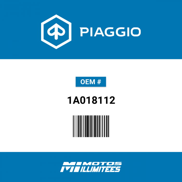 Piaggio Wheel Axel with I.P - 1A018112 | FortNine Canada