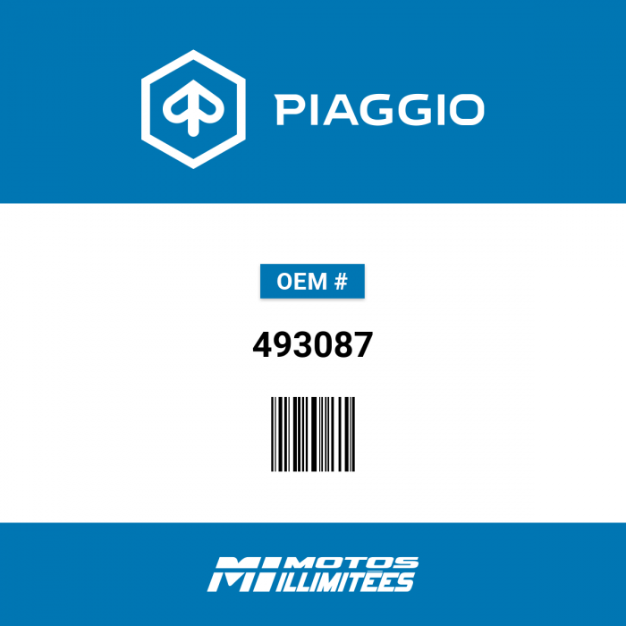 Piaggio Hexagonal Nut - 493087 | FortNine Canada