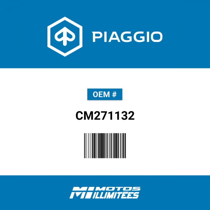 Piaggio Rear Luggage - CM271132 | FortNine Canada