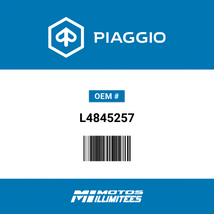 Piaggio Valve Guide - L4845257 | FortNine Canada