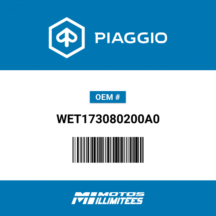 Piaggio Bolt Spring Washer and Plain Washer Assembly - WET173080200A0 ...
