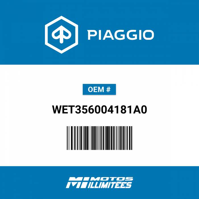 Piaggio Brake Tube (Master Cylinder/ ABS) Front - WET356004181A0 ...