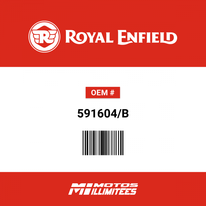 Royal Enfield Rear Wheel Assembly - 591604/B | FortNine
