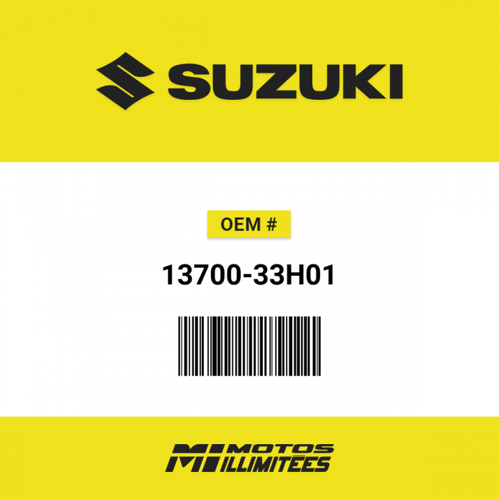 Suzuki Cleaner Asm, Air - 13700-33H01 | FortNine Canada