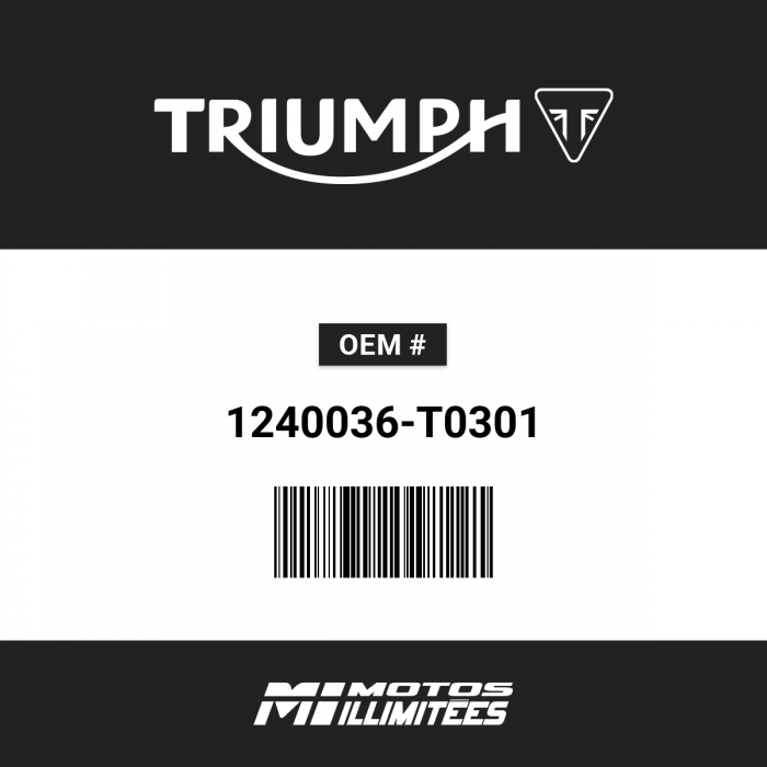 Triumph Washer - 1240036-T0301 | FortNine Canada