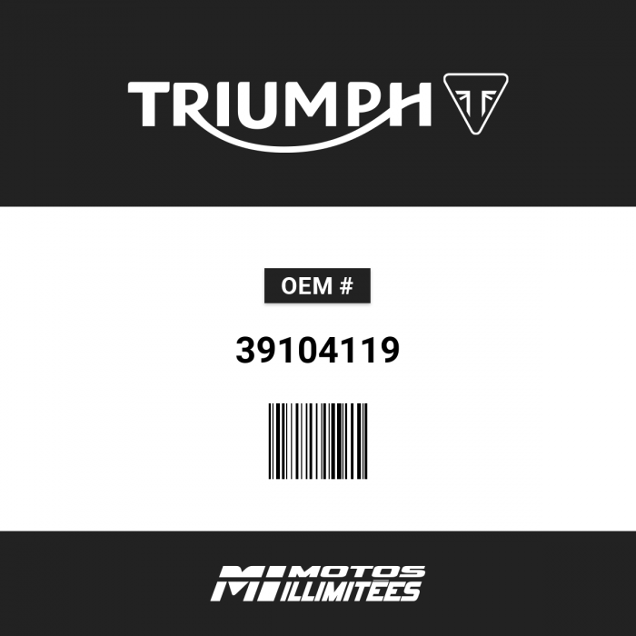 Triumph Oil Seal - 39104119 | FortNine