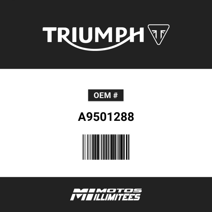 Triumph Frame Kit Panniers - A9501288 | FortNine