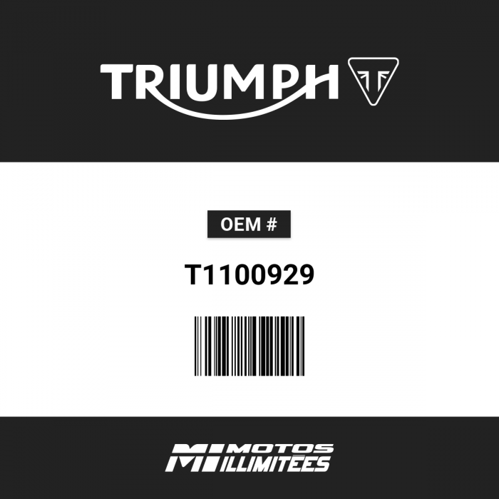 Triumph Crankshaft Assembly 2 Cylinder 270 - T1100929 | FortNine Canada