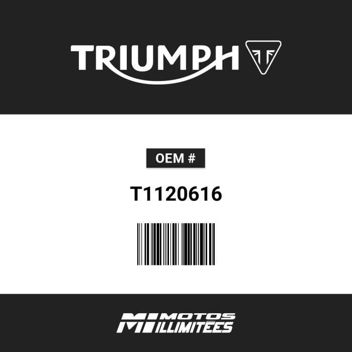 Triumph Snap Ring 25 X 1.5 Silver - T1120616 | FortNine Canada