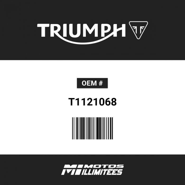 Triumph Piston Assembly - T1121068 | FortNine Canada