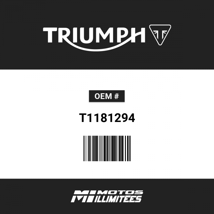 Triumph Gasket Side Cover Front Bevel Box - T1181294 | FortNine
