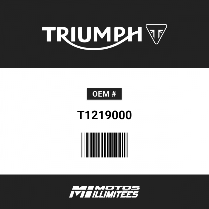 Triumph Oil Filter - T1219000 | FortNine