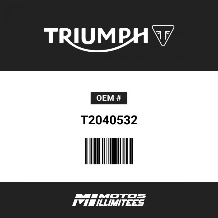 Triumph Fork Leg Assembly Left - T2040532 | FortNine Canada