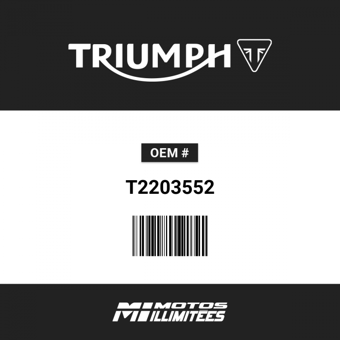 Triumph Kit Airbox Assembly - T2203552 | FortNine Canada