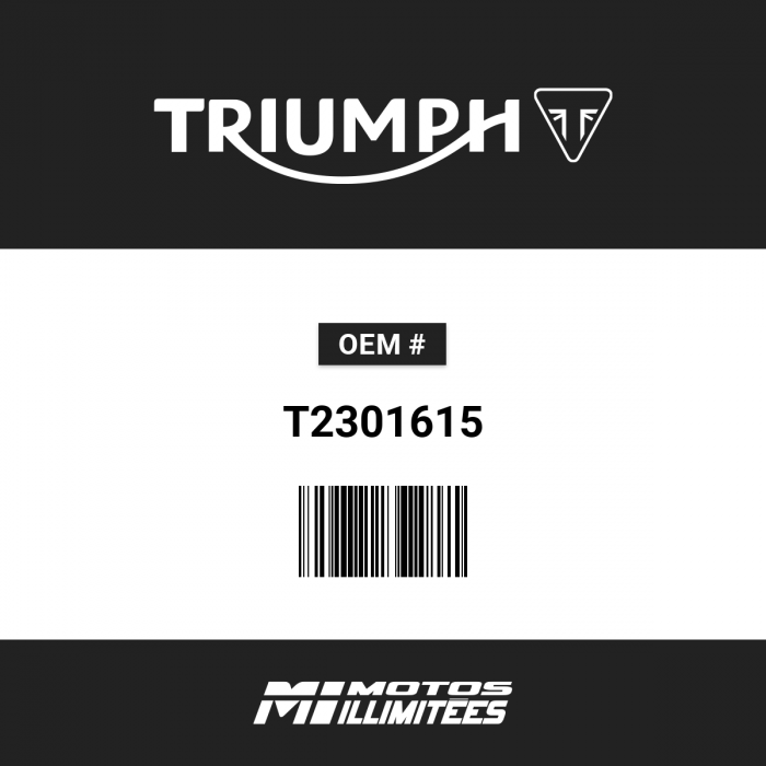 Triumph Mount Number Plate USA - T2301615 | FortNine Canada