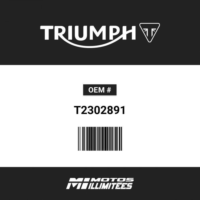 Triumph Decal Fuel Tank Aluminum - T2302891 | FortNine Canada
