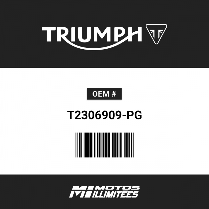 Triumph Cockpit - T2306909-PG | FortNine Canada